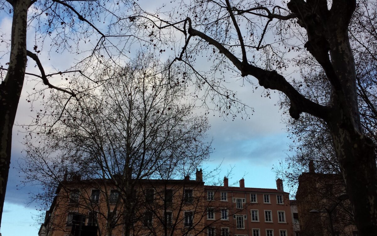 Météo : des éclaircies mais un froid hivernal jeudi 26 décembre à Lyon
