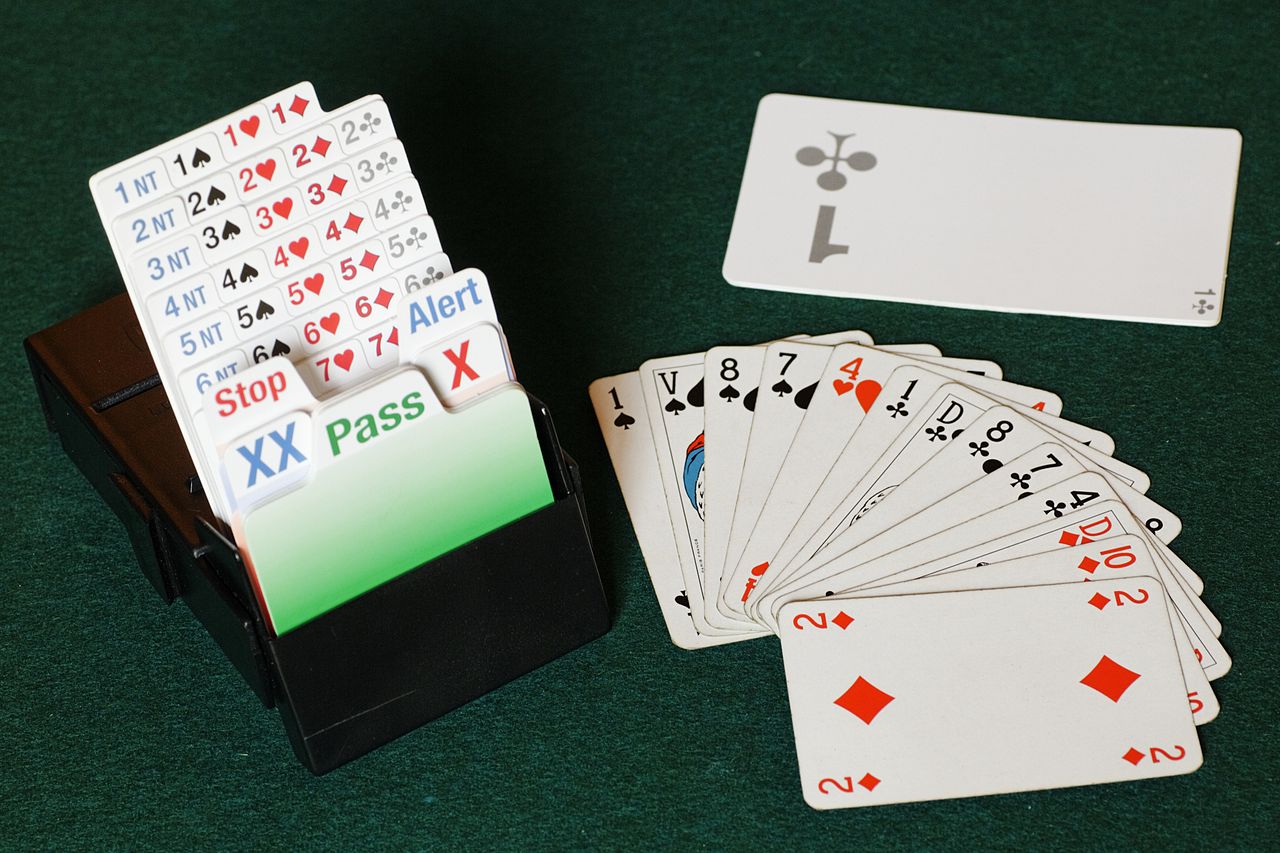 Comment Lyon est devenu la capitale du bridge - Lyon Capitale