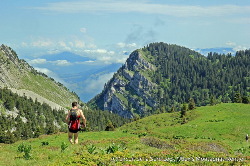 Trail du Circuit de la Sure : bon entraînement pour la montagne cet été Trail du Circuit de la Sure : bon entraînement pour la montagne cet été
