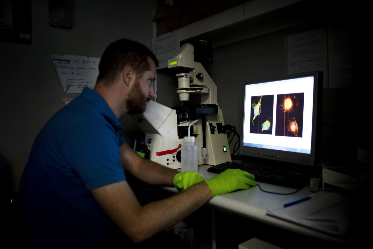 Cancer du sein : vers une meilleure prise en charge grâce à cette étude ...