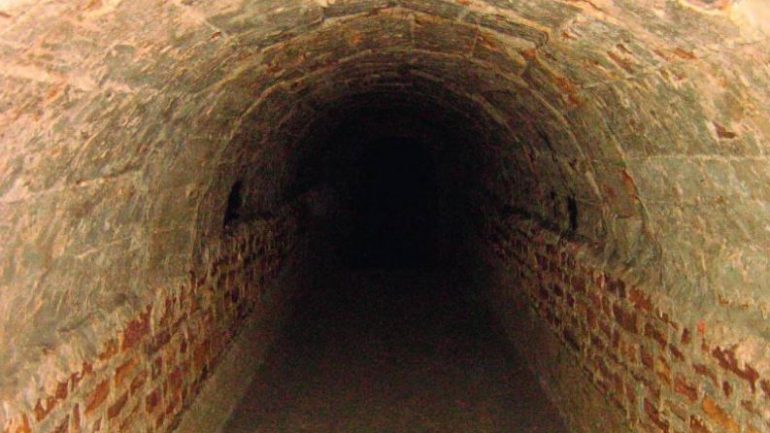 Lyon : les mystères des arêtes de poisson - Lyon Capitale