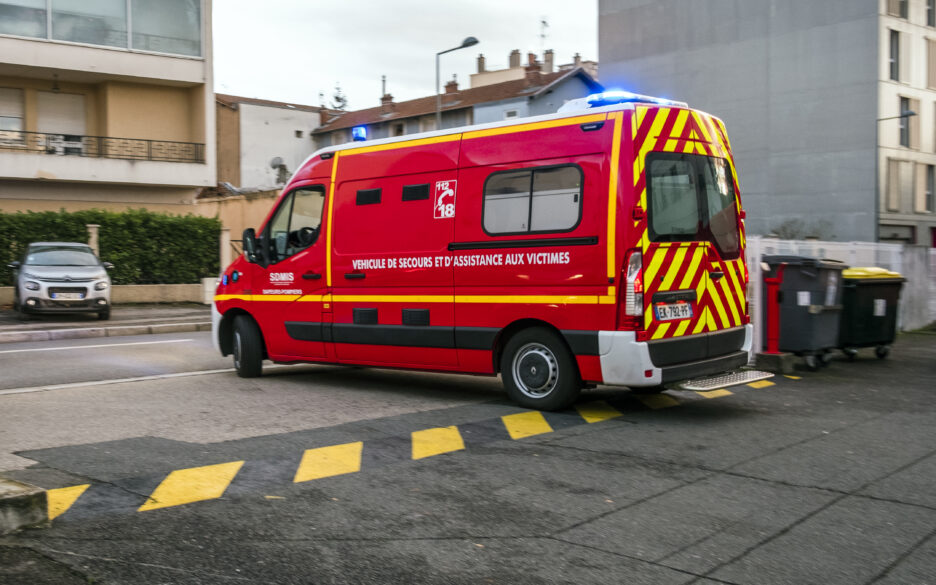 Près de Lyon, les pompiers sauvent un âne de la noyade