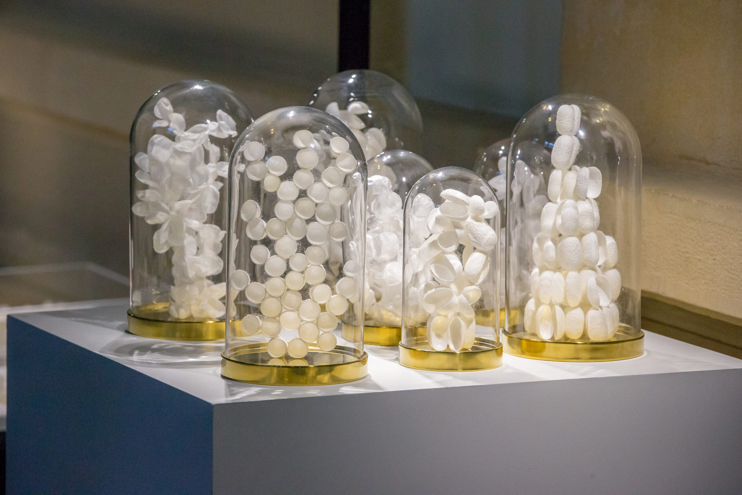 Comment Silk in Lyon ressuscite la filière de la soie - Lyon Capitale