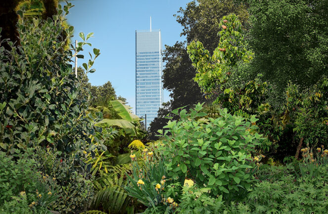 Lyon 2030, urbanisme : des forêts urbaines pour rompre avec la ...