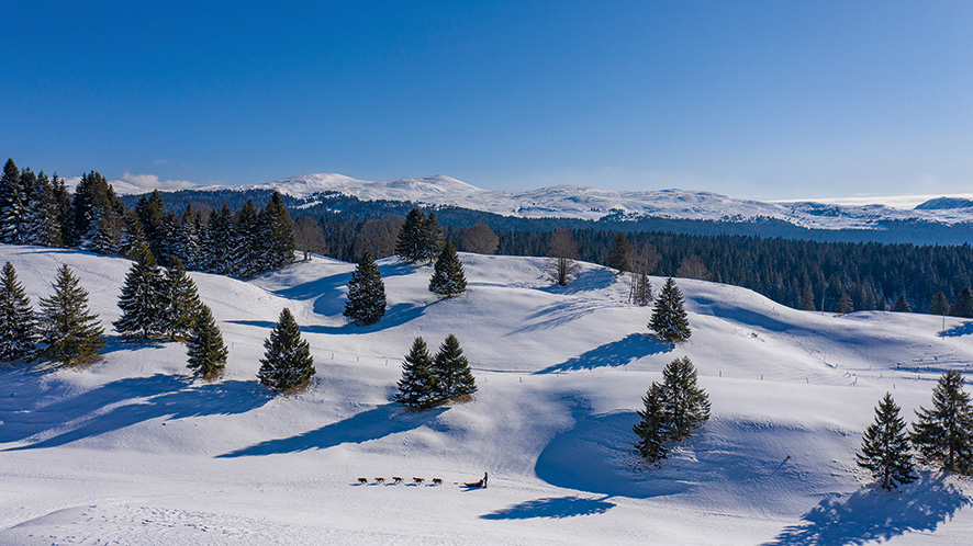 Escapades dans la région : le Pays de Gex, pour les amoureux du ski ...