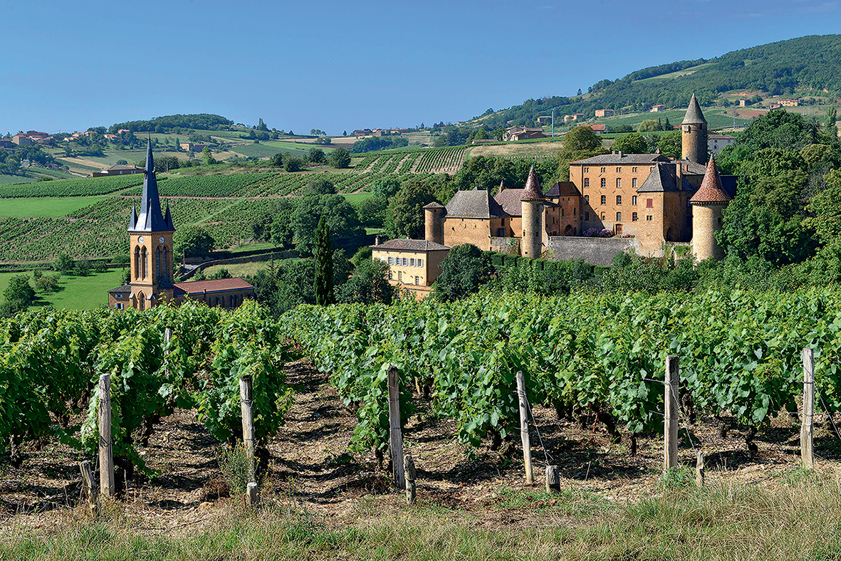 Escapades dans le Beaujolais : douceur de vivre au pays des Pierres Dorées