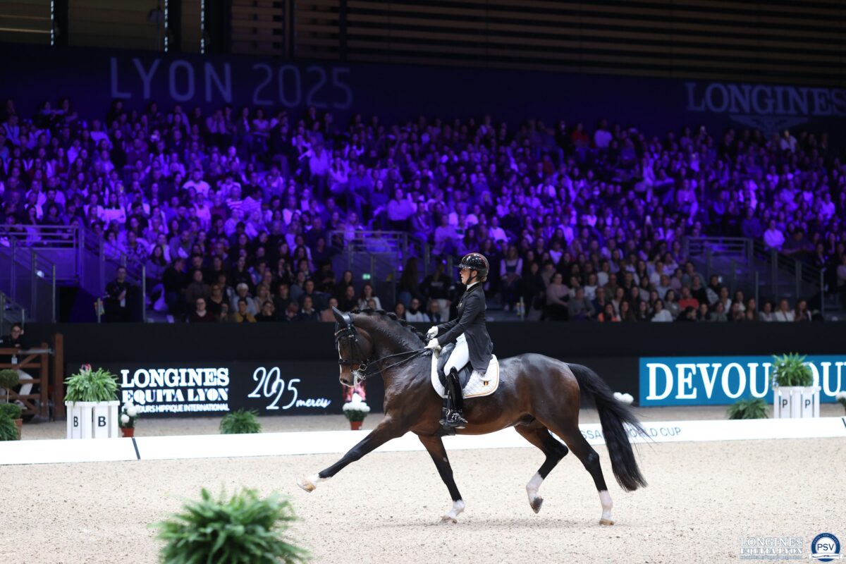 Equita Lyon : le n°1 mondial Justin Verboomen brille en dressage ...